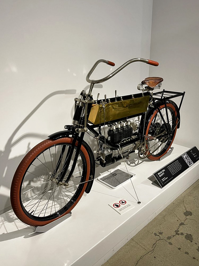 This vintage FN Four motorcycle represents engineering elegance from a simpler era. Those copper accents and leather details show transportation used to be about craftsmanship.