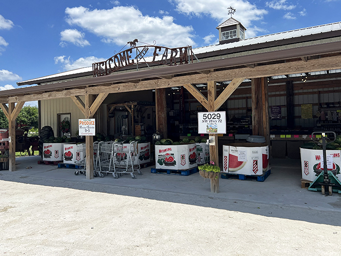 Local farm markets showcase the agricultural bounty of DeSoto County. When produce travels blocks instead of miles, flavor doesn't need a passport.