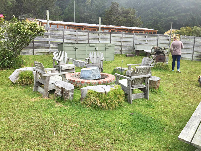 Weathered Adirondack chairs circle a fire pit where strangers become friends over s'mores and stargazing.