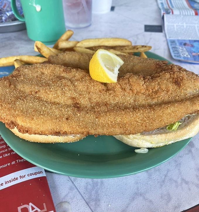 A fish sandwich so massive it's trying to escape the plate. This isn't just lunch&mdash;it's an achievement worthy of a trophy.