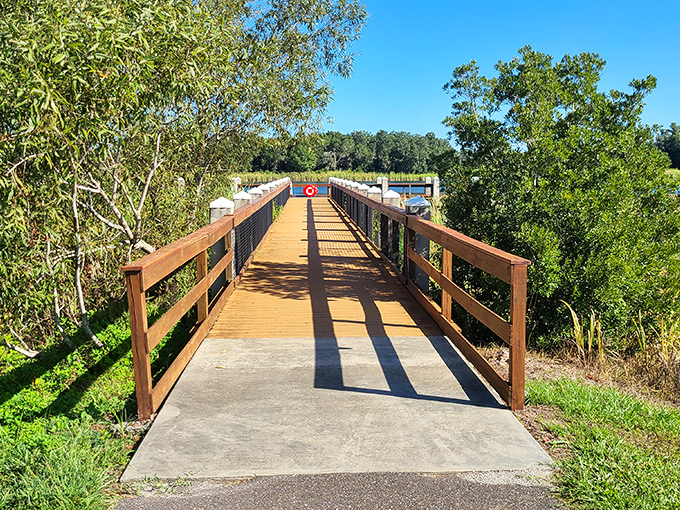 This wooden bridge doesn't just connect two shores&mdash;it links our everyday world to the wild Florida that existed before theme parks.