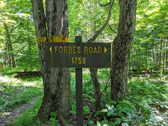 Historic Forbes Road marker &ndash; where 18th-century pathfinders and 21st-century hikers share the same sense of wonder, separated only by time.