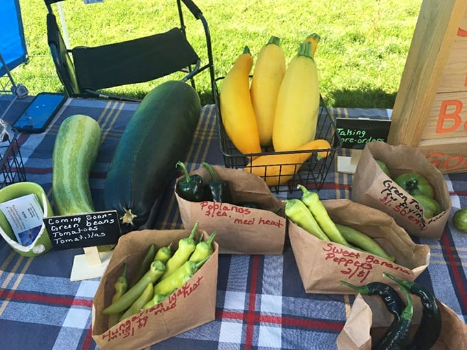 Garden-fresh vegetables arranged with farmer's pride, where the distance from soil to market table is measured in hours, not days. 