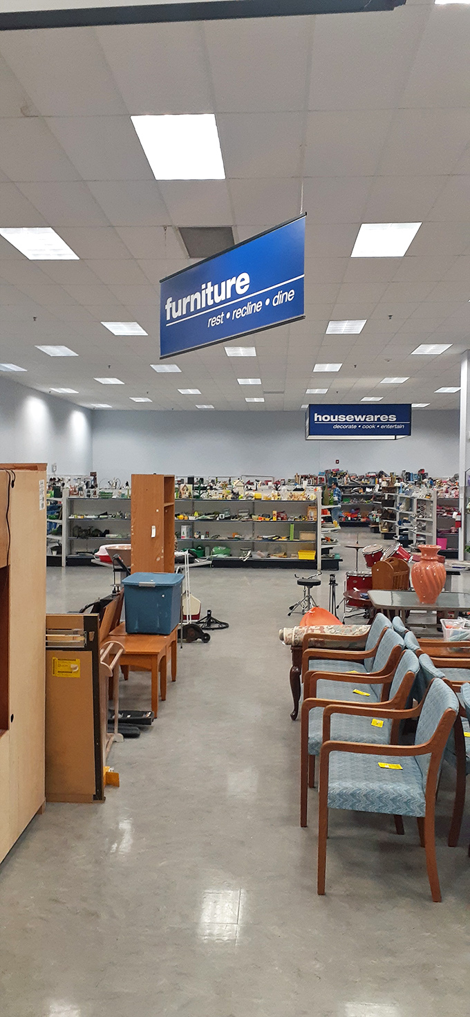 The furniture zone offers seating options from "distinguished professor's office" to "your aunt's formal living room that nobody was allowed to sit in."