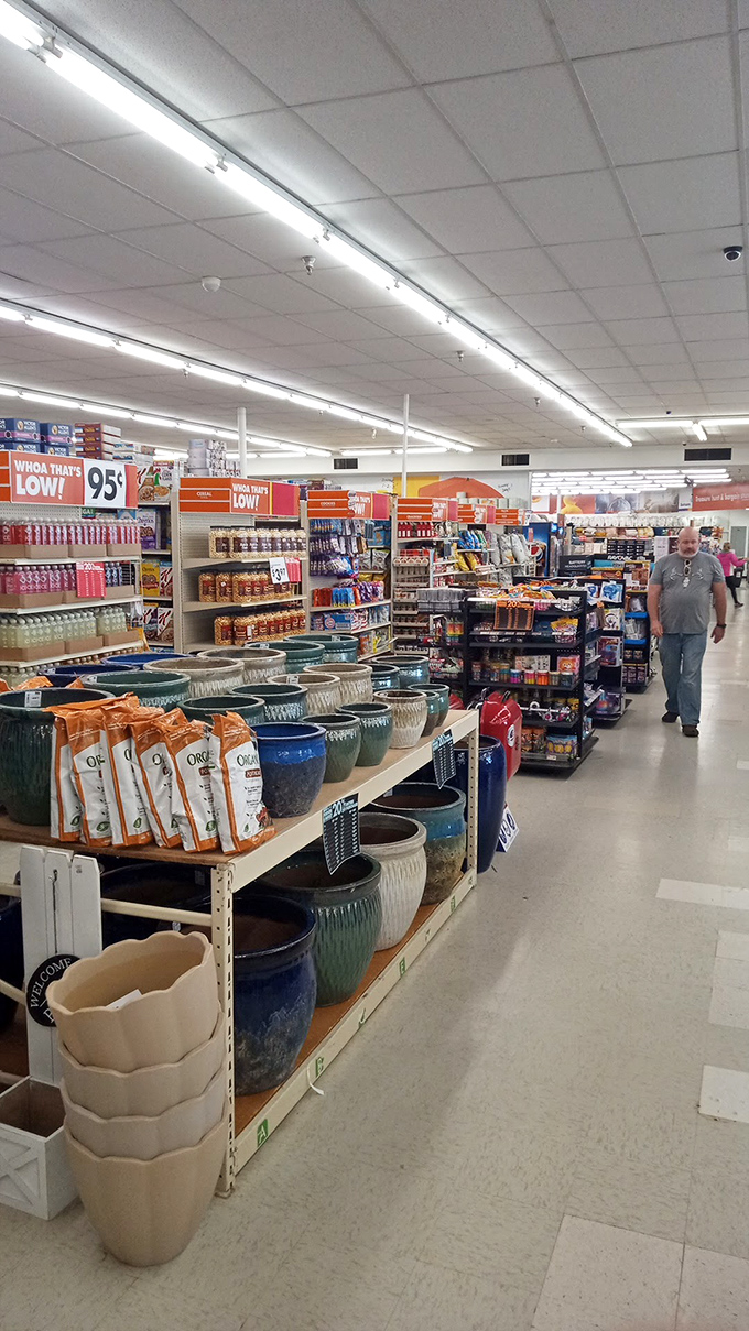 Garden pottery that transforms even the most notorious plant-killers into people who casually mention "my garden" in conversation.