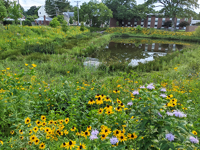 Weekend warriors and serious athletes alike find their place on these immaculate fields, where dreams of sports glory never completely fade away.