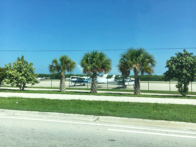 Palm trees standing at attention along the highway, nature's way of saying "Welcome to paradise" with a tropical salute.