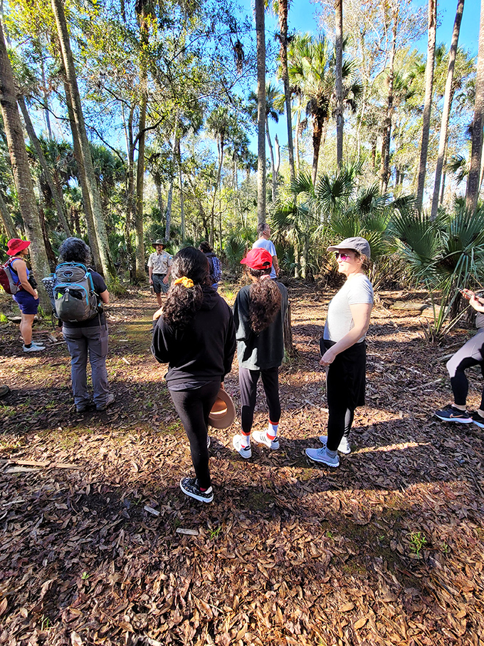 Guided hikes reveal the island's secrets, with knowledgeable rangers translating nature's language for visitors eager to understand this unique ecosystem.