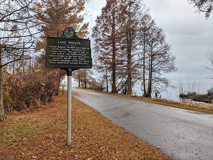 Historical markers like this one serve as roadside time machines, transporting curious readers back to Lake Phelps' fascinating past.