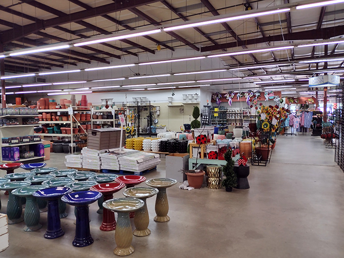 A wonderland of home décor where bird baths and garden accessories promise to make your neighbors secretly jealous of your outdoor space.