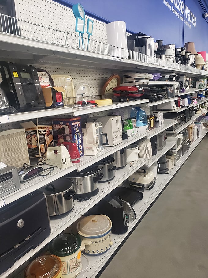 Kitchen gadget paradise! Where bread makers, coffee pots, and mysterious culinary tools await their second chance at culinary greatness.