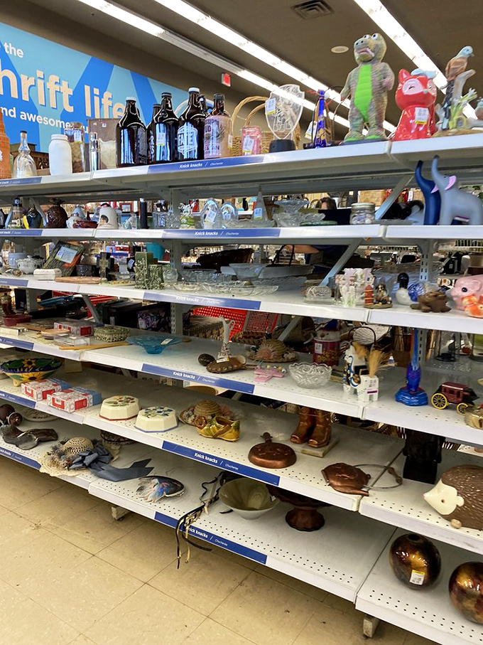 Shelves of curiosities that Marie Kondo would call clutter but you recognize as potential conversation pieces for your next dinner party.