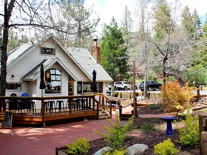 A slice of mountain serenity where camping doesn't mean sacrificing green space. Nature's living room, complete with pine-scented air freshener.