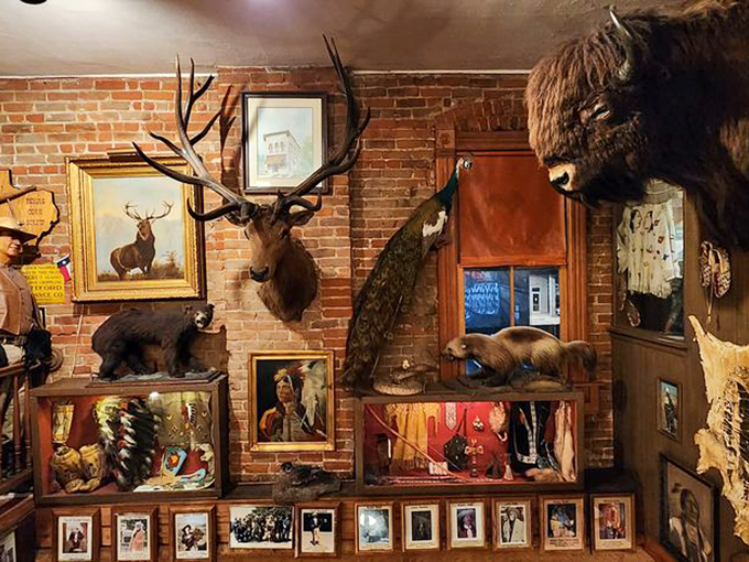The taxidermy collection isn't just decoration&mdash;it's Colorado's natural history textbook displayed on every available wall space. Dinner with a side of education.