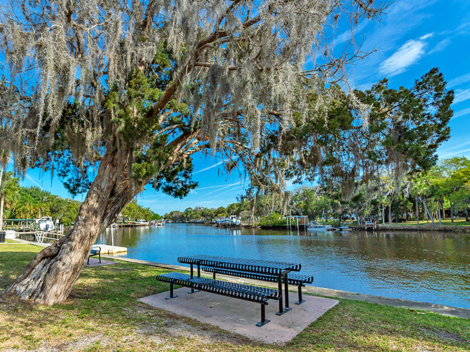 Spanish moss frames this waterfront bench like nature's own Instagram filter. Jasmin Park offers peaceful river views that cost nothing but time.