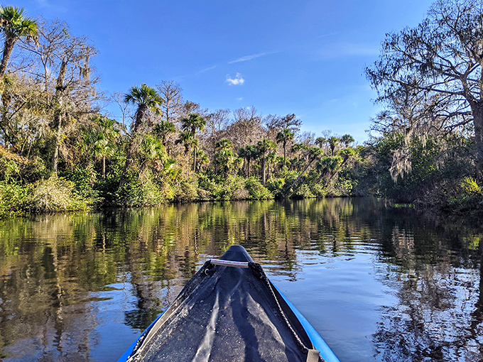 The bow of a canoe parts tea-colored waters as palms and cypress create nature's cathedral ceiling&mdash;spiritual experiences don't require admission tickets.