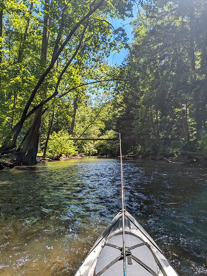 Kayaking the Clear Fork River &ndash; where the only notifications you'll receive are from blue herons and curious turtles.