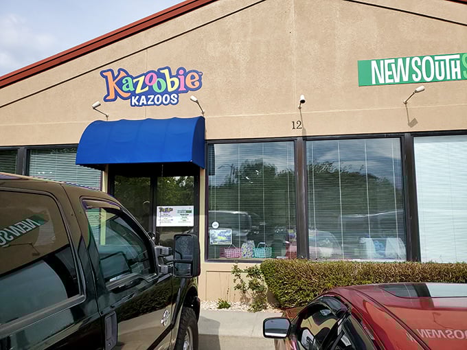 Yes, Beaufort houses the world's only Kazoo Museum. Because sometimes Southern charm comes with a distinctive humming sound that brings out everyone's inner child.