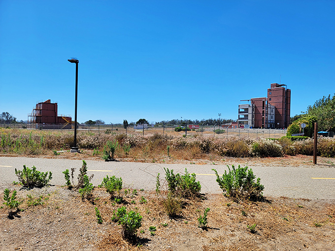 Industrial remnants on Lompoc's outskirts tell stories of the town's evolving economy, where past meets present against mountain backdrops.