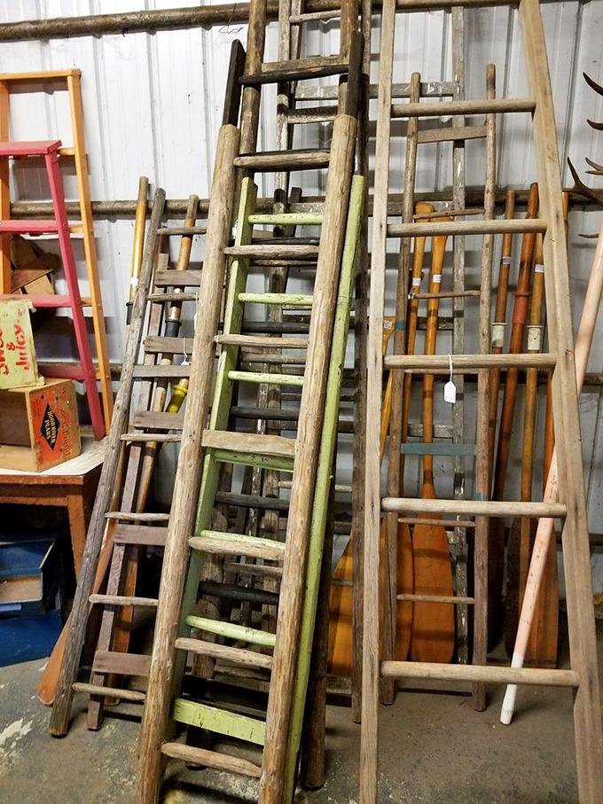 The ladder collection: for when you need to reach new heights or create that rustic farmhouse wall display your spouse has been Pinterest-saving.