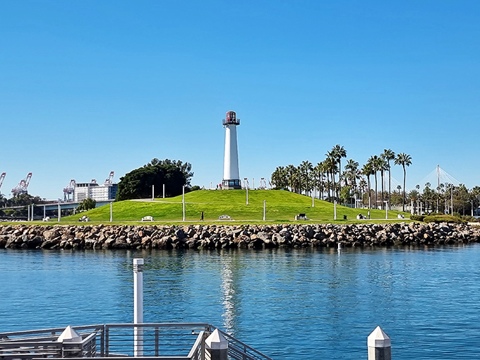 The Lions Lighthouse stands sentinel on its grassy hill, surrounded by palm trees that seem to be perpetually posing for their California driver's license photos.
