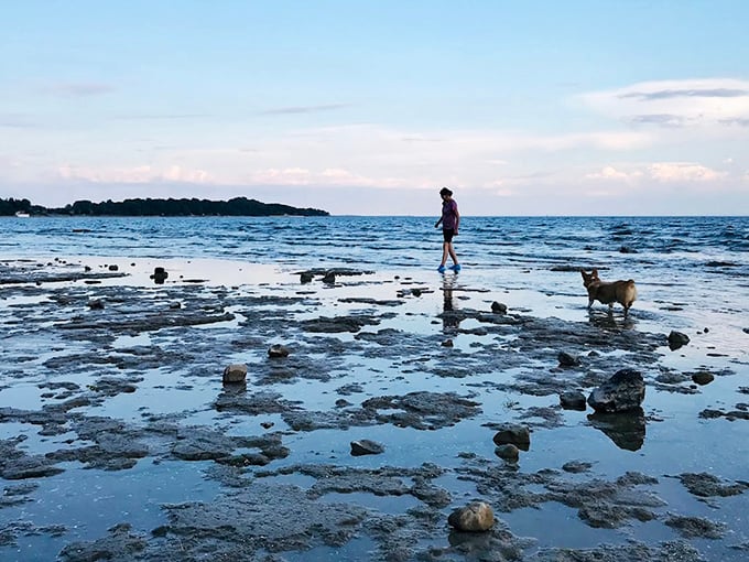 Low tide reveals Lake Erie's secrets&mdash;a rocky shoreline perfect for contemplative walks with four-legged friends and breathtaking sunset views.