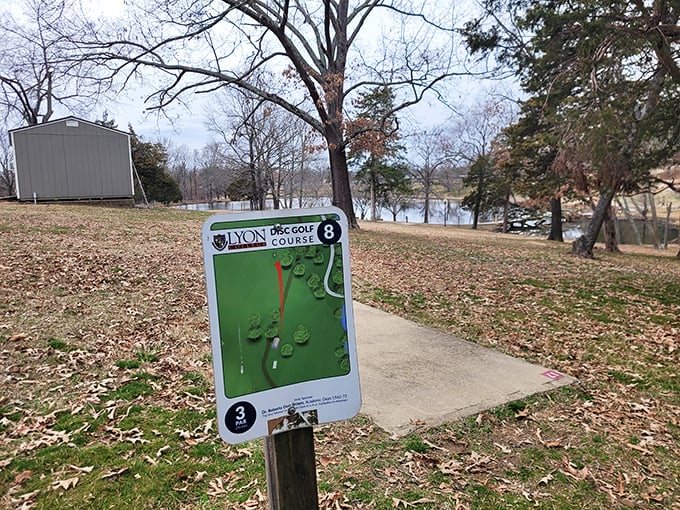 Recreation on a budget: Lyon College's disc golf course offers free outdoor entertainment with just enough challenge to keep you coming back.
