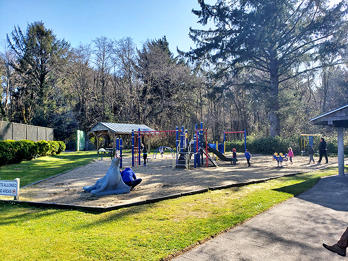 Manzanita City Park offers family fun with a view of towering evergreens&mdash;proof that playgrounds don't need ocean views to be magical.