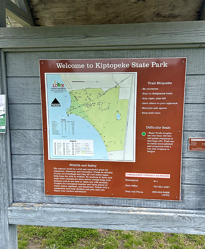 The treasure map to outdoor bliss! This guide ensures you won't miss any of Kiptopeke's hidden gems&mdash;no pirate skills required.
