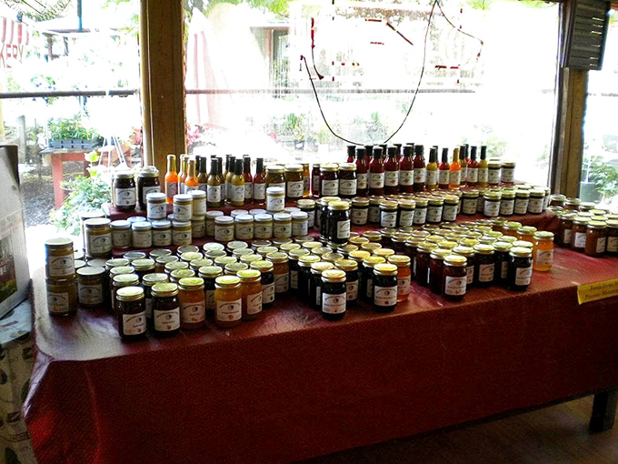 Jars of possibility line this table like edible postcards from Pennsylvania. Each preserves not just fruit, but the essence of seasons worth remembering.