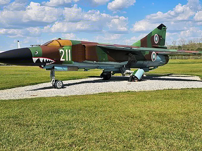 The MiG-23 wears its shark-toothed grin like a veteran telling war stories—slightly menacing, undeniably charismatic, and impossible to ignore.