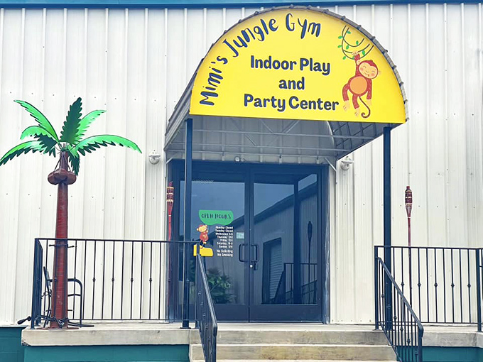 Mimi's Jungle Gym brings indoor adventure to rainy Tennessee days &ndash; because childhood energy doesn't pause for weather forecasts.