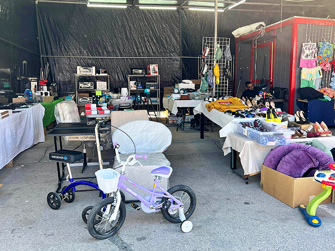 One shopper's spring cleaning becomes another's treasure trove in this wonderland of secondhand possibilities, from bicycles to household essentials.