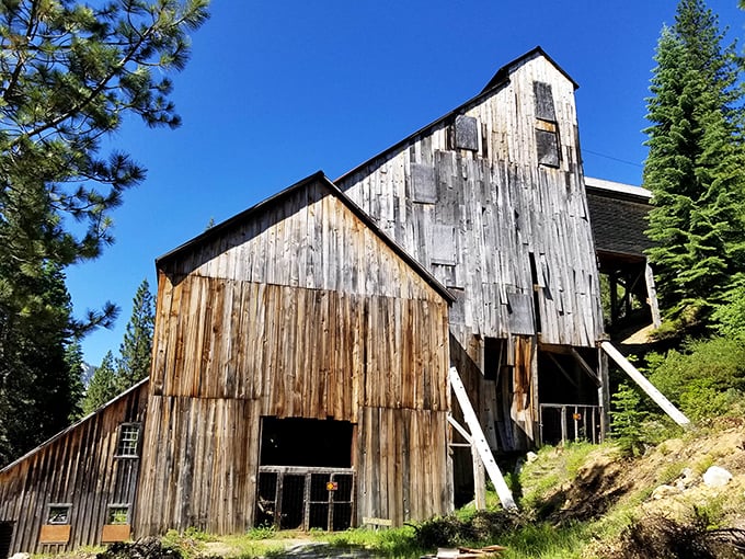Time-weathered testimony to gold rush ambitions. This old mill has more character than most Hollywood scripts.