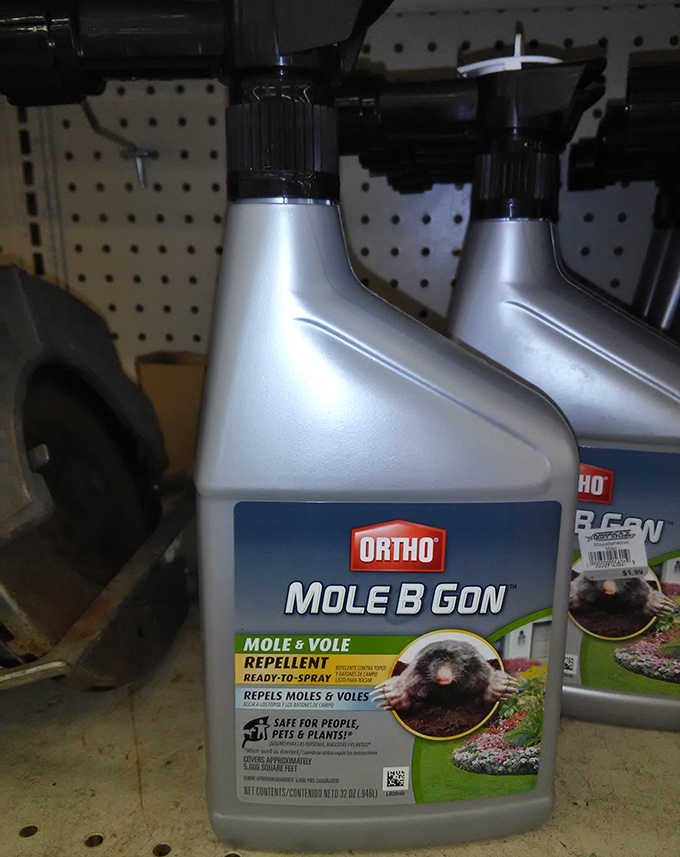 Even garden supplies find their way to thrift paradise. One shopper's unused mole repellent becomes another's lawn-saving solution.