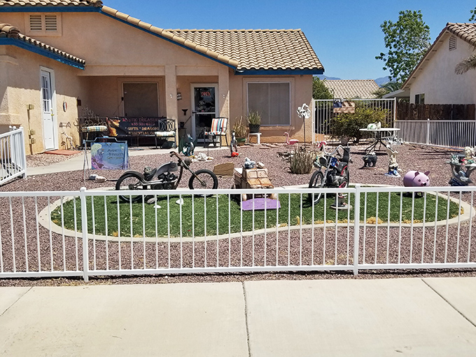 Desert landscaping proves you can own actual property with a yard that doesn't demand every weekend and your sanity.