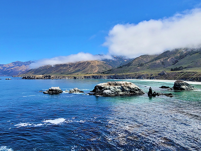 The Big Sur coastline flaunts colors that would make a peacock jealous. That particular shade of blue? It doesn't exist anywhere else.
