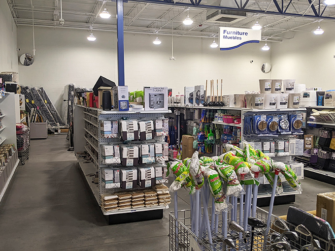 Home goods heaven extends to the horizon, where practical meets whimsical and everything costs less than you'd expect.