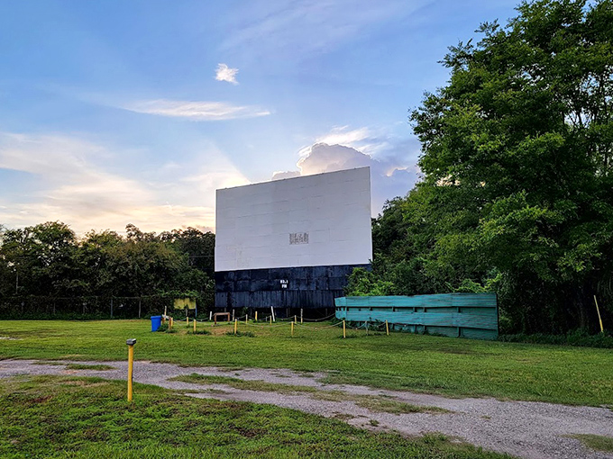 The classic drive-in experience: part movie night, part tailgate party, and entirely more fun than squeezing into theater seats.