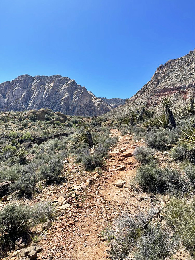 Not all who wander are lost, but on this trail, getting slightly lost might reward you with the best views of your Instagram career.