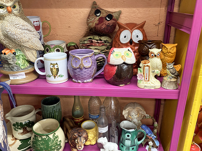 Owl-themed everything congregates on bright pink shelves, because apparently the 1970s really loved these wise little bird decorations.