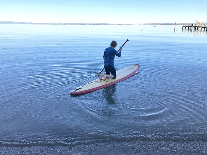 The glassy morning waters of San Pablo Bay create the perfect canvas for paddleboarders, with views that make falling in almost worth it.