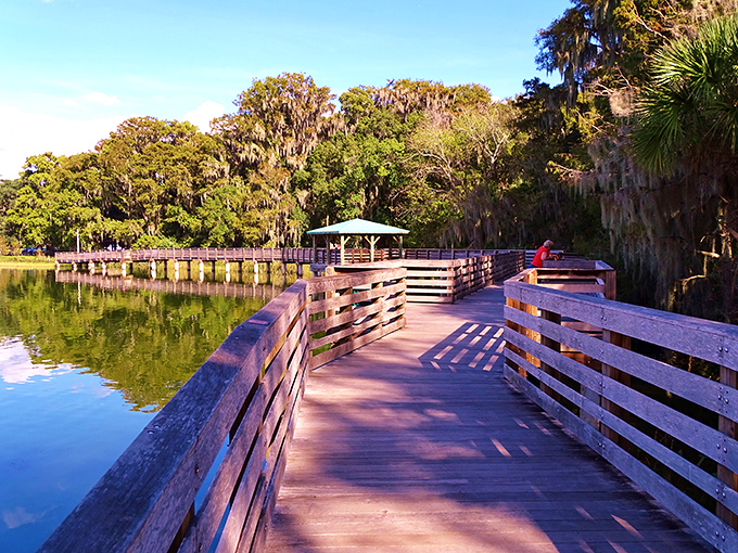 The Palm Island Park boardwalk invites you to stroll above the water and under Spanish moss, like walking through nature's cathedral with a Florida twist.