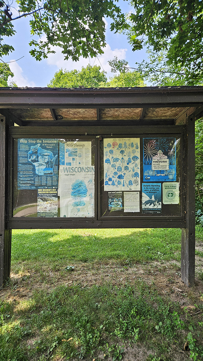 Information central: Where park rules meet nature facts, and "no fireworks" shares space with "please don't feed the wildlife" wisdom.