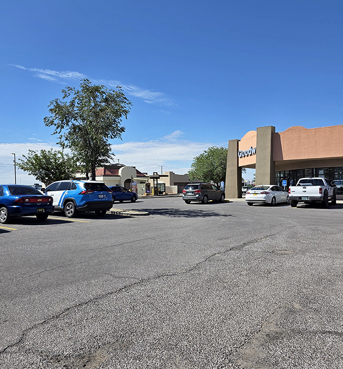 The parking lot accommodates treasure hunters of all economic backgrounds, from practical sedans to trucks hauling furniture finds.