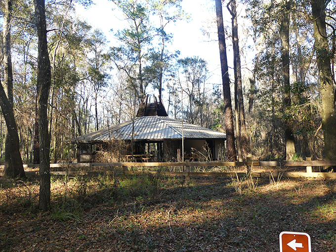 This rustic pavilion serves as the park's command center, where rangers share tales of sinkholes and prehistoric Florida.