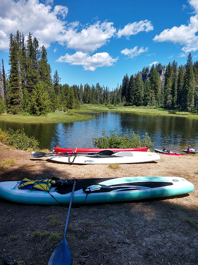 Kayaks waiting for their next adventure. The hardest decision you'll make all day is which color to choose.