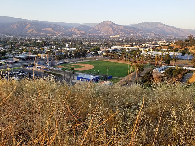 From this hillside perch, baseball diamonds and palm trees create a quintessentially Southern California panorama against mountain backdrops.