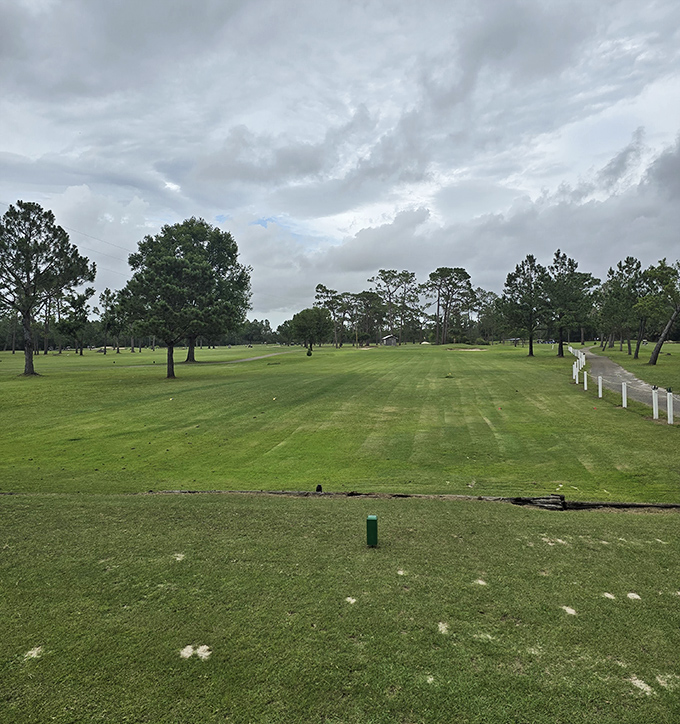 Perry Golf & Country Club proves you don't need to pay country club prices to enjoy a relaxing round where pine trees outnumber people.