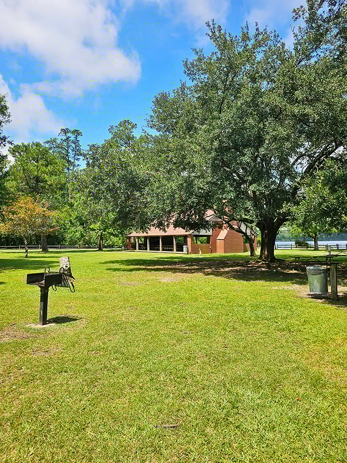 This isn't just a picnic area&mdash;it's an outdoor dining room with the best ambiance money can't buy. Nature provides both the view and the entertainment.